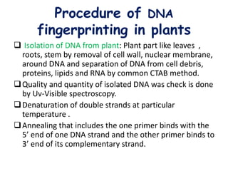 Dna fingerprinting | PPTX