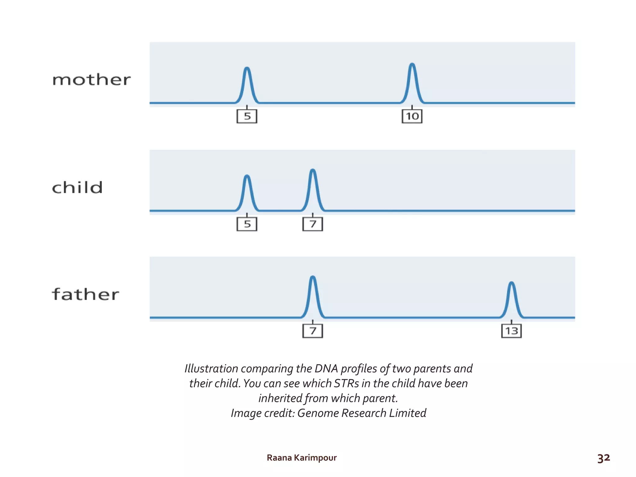 Dna finger printing | PPTX