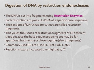Dna finger printing | PPTX