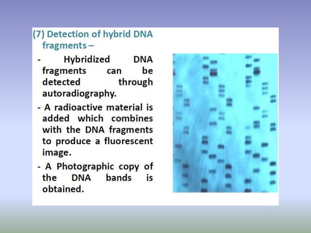 Dna finger printing | PPT