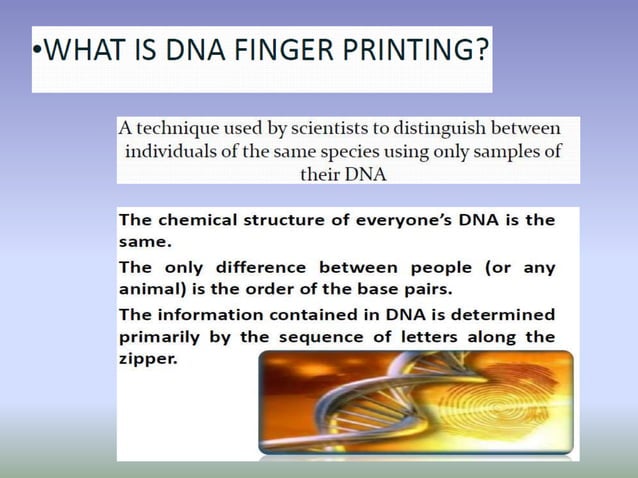 Dna finger printing | PPT
