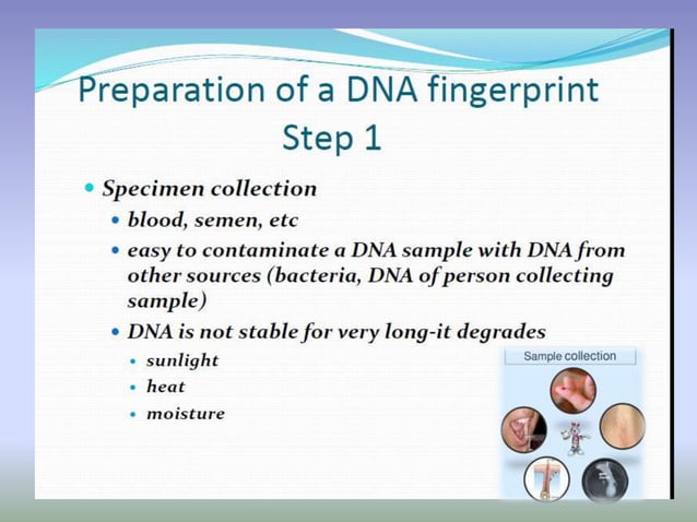Dna finger printing | PPT