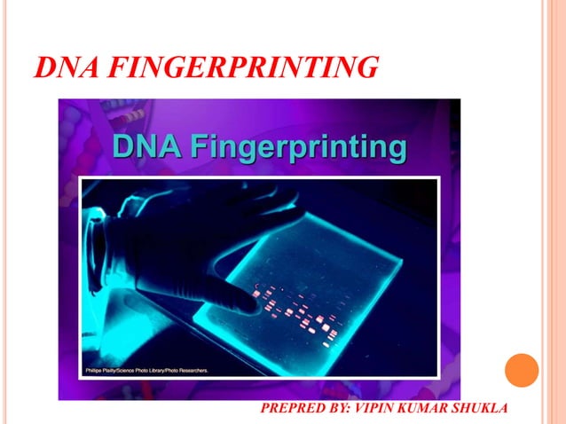 Dna fingerprinting | PPT