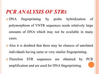 Dna fingerprinting | PPT