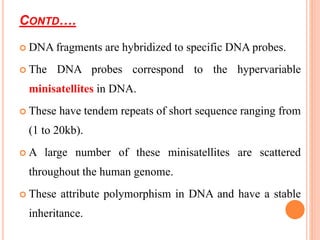 Dna fingerprinting | PPT