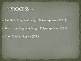 DNA Fingerprinting and its uses | PPT