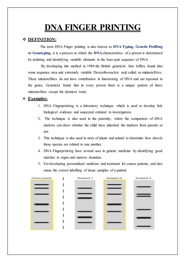 Dna finger printing | DOCX | Genetics | Science