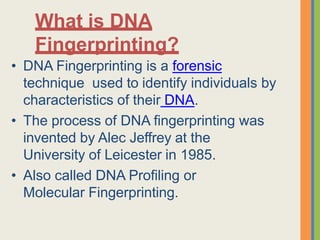 Dna fingerprinting | PPTX