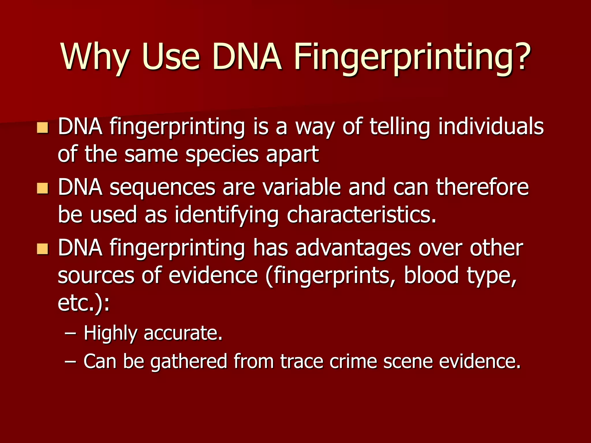 DNA Fingerprinting.ppt