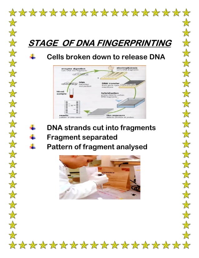 dna fingerprinting.pdf