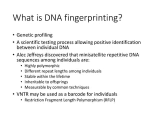 DNA Fingerprinting.ppt