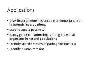 DNA Fingerprinting.ppt
