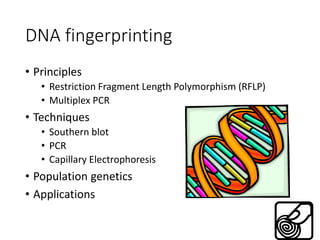 DNA Fingerprinting.ppt