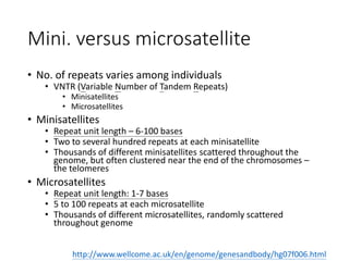 DNA Fingerprinting.ppt