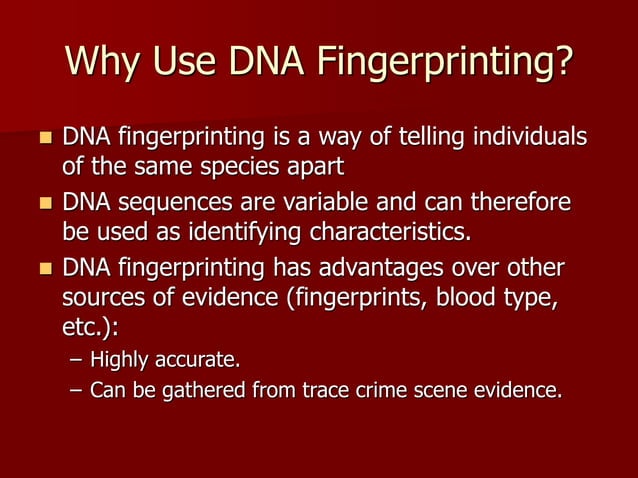 DNA Fingerprinting.ppt