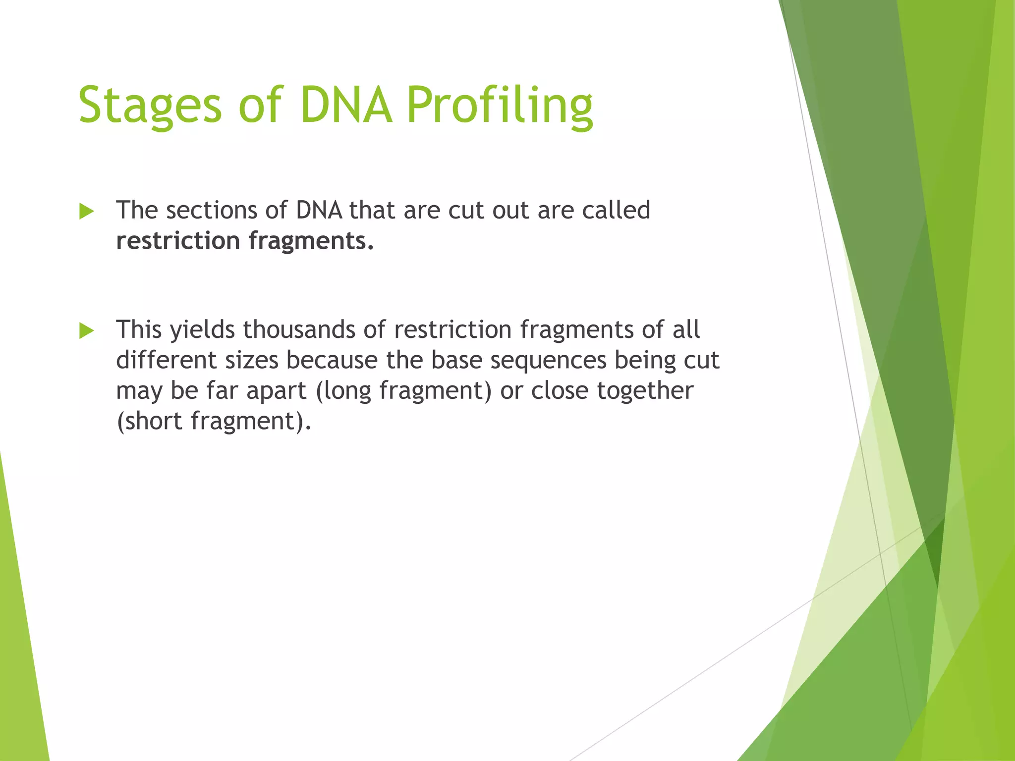 DNA FIngerprinting.ppt