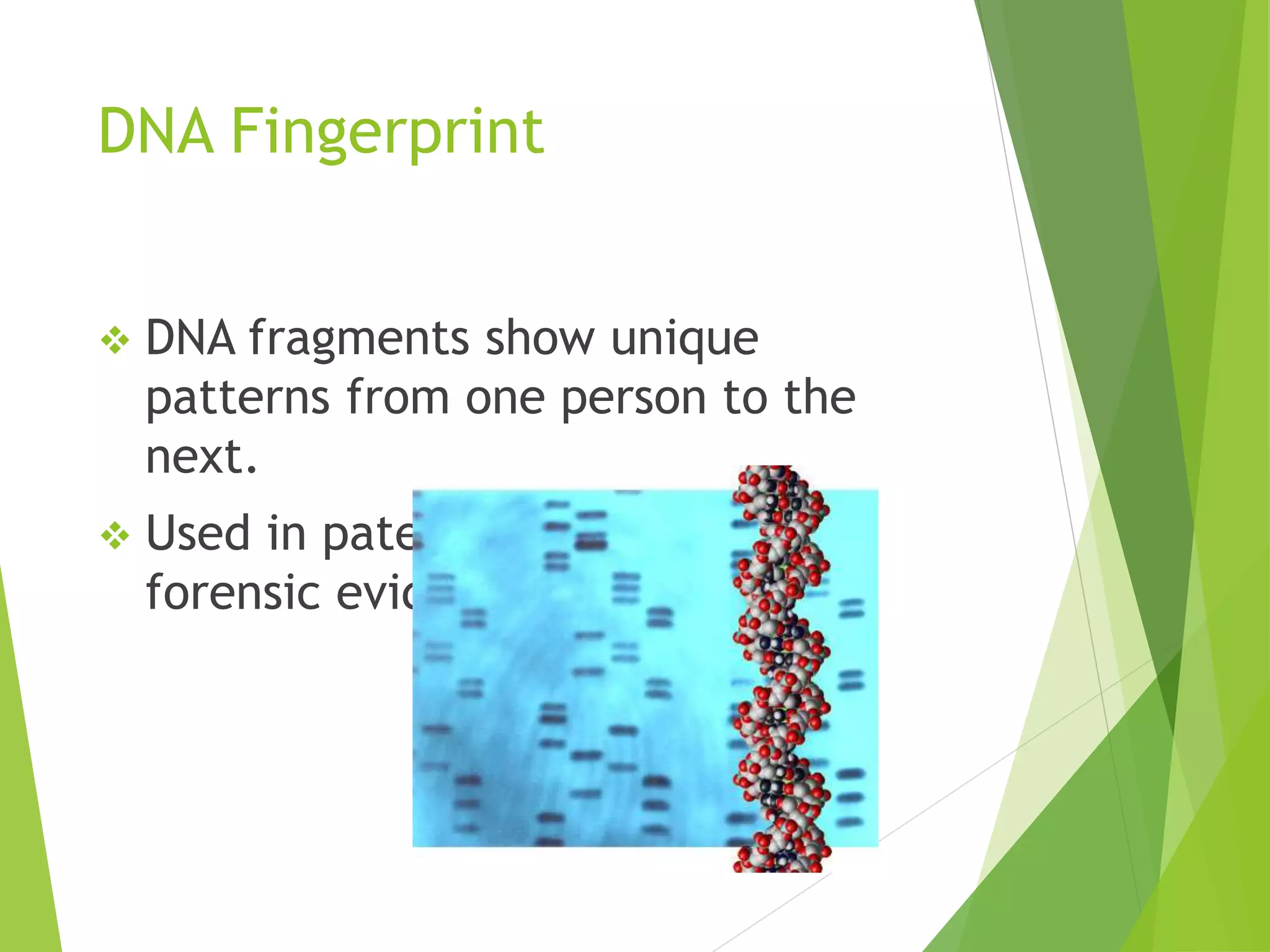 DNA FIngerprinting.ppt