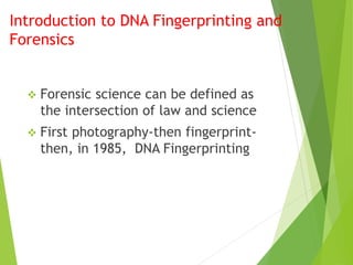DNA FIngerprinting.ppt