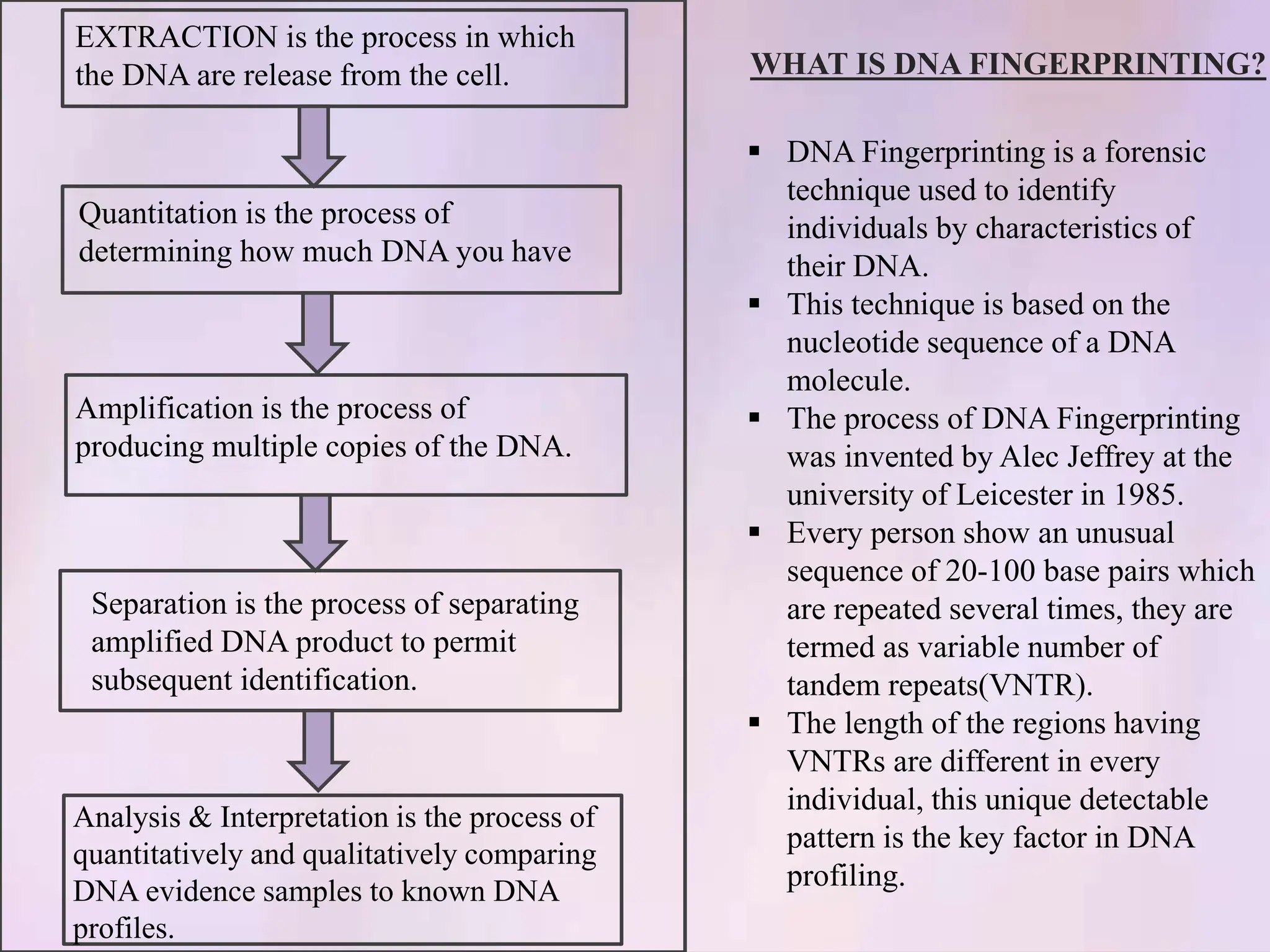 The power of dna fingerprinting in forensic science | PPTX | Genetics ...