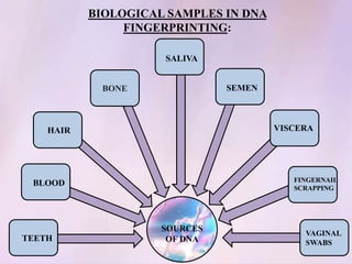 The power of dna fingerprinting in forensic science | PPTX