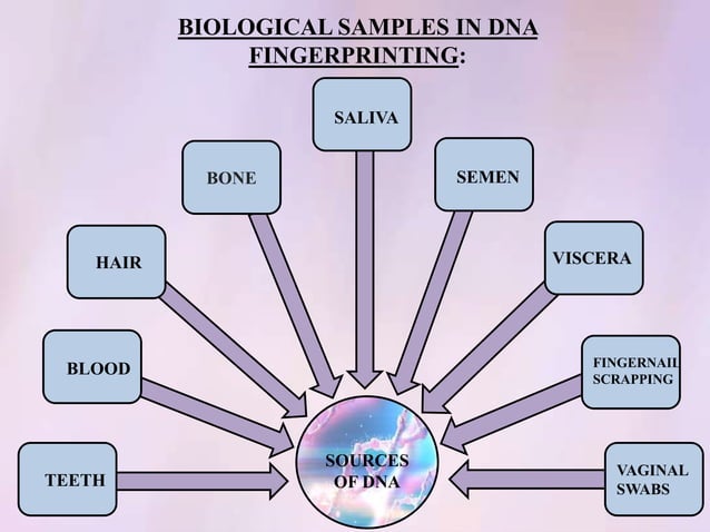 The power of dna fingerprinting in forensic science | PPTX | Genetics ...