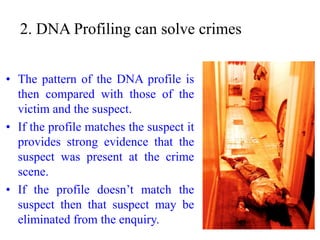 dna_finger_printing.ppt