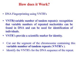 dna_finger_printing.ppt