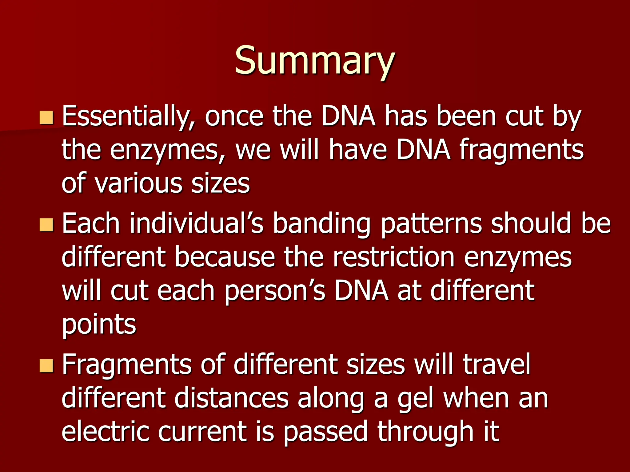 DNA Fingerprinting.ppt