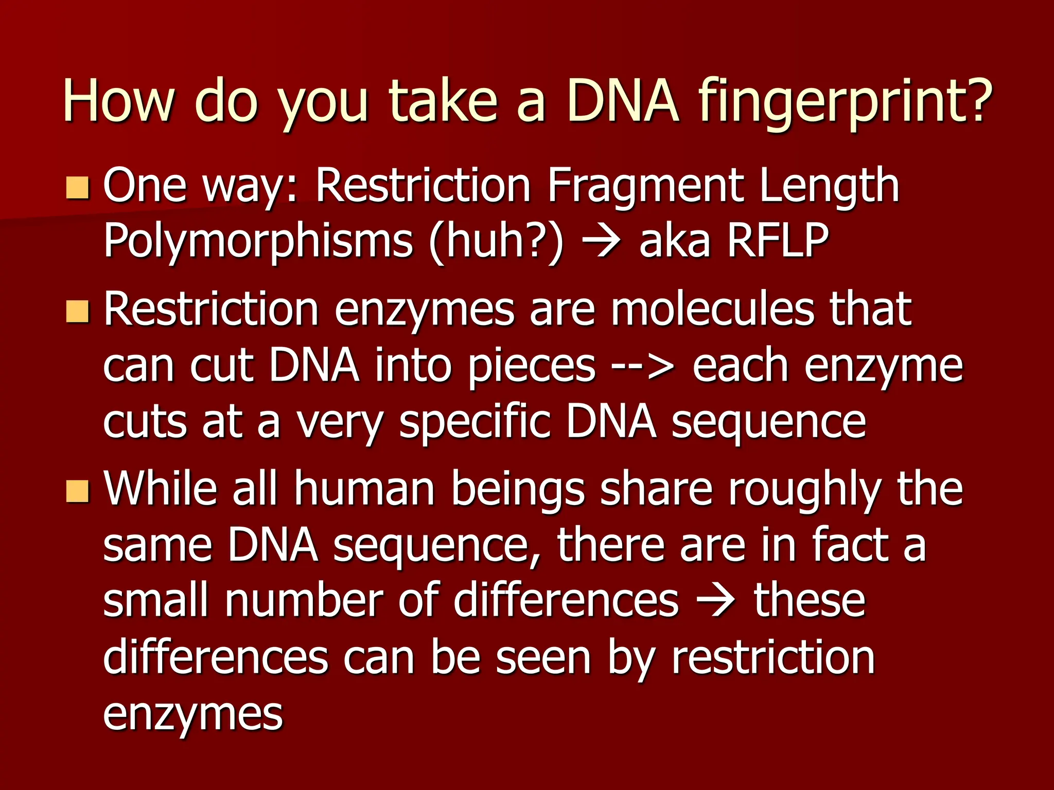 DNA Fingerprinting .ppt