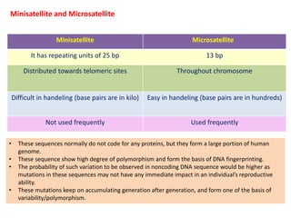 DNA FINGERPRINTIN Class XII Biology.pptx