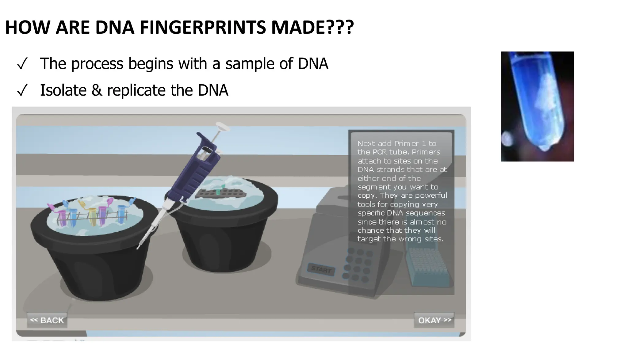 DNA Fingerprinting.pdf principles, working | PDF
