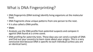 DNA Fingerprinting.pdf principles, working | PDF