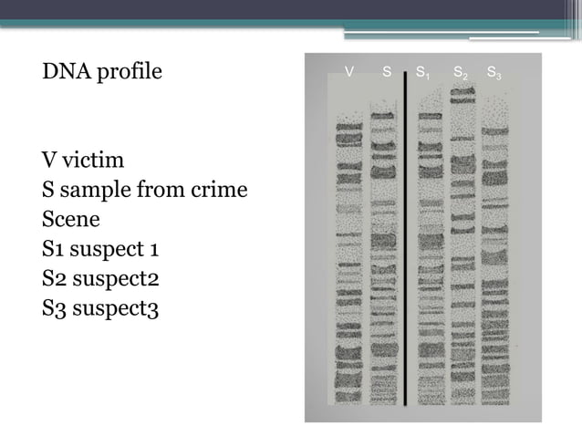 DNA FINGERPRINTING.pptx. it is a biotechnology techniques used in forensic science | PPT