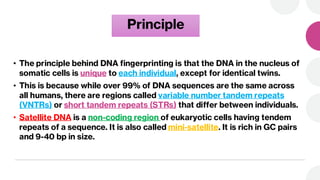 Description aboutDNA Fingerprinting 1.pdf