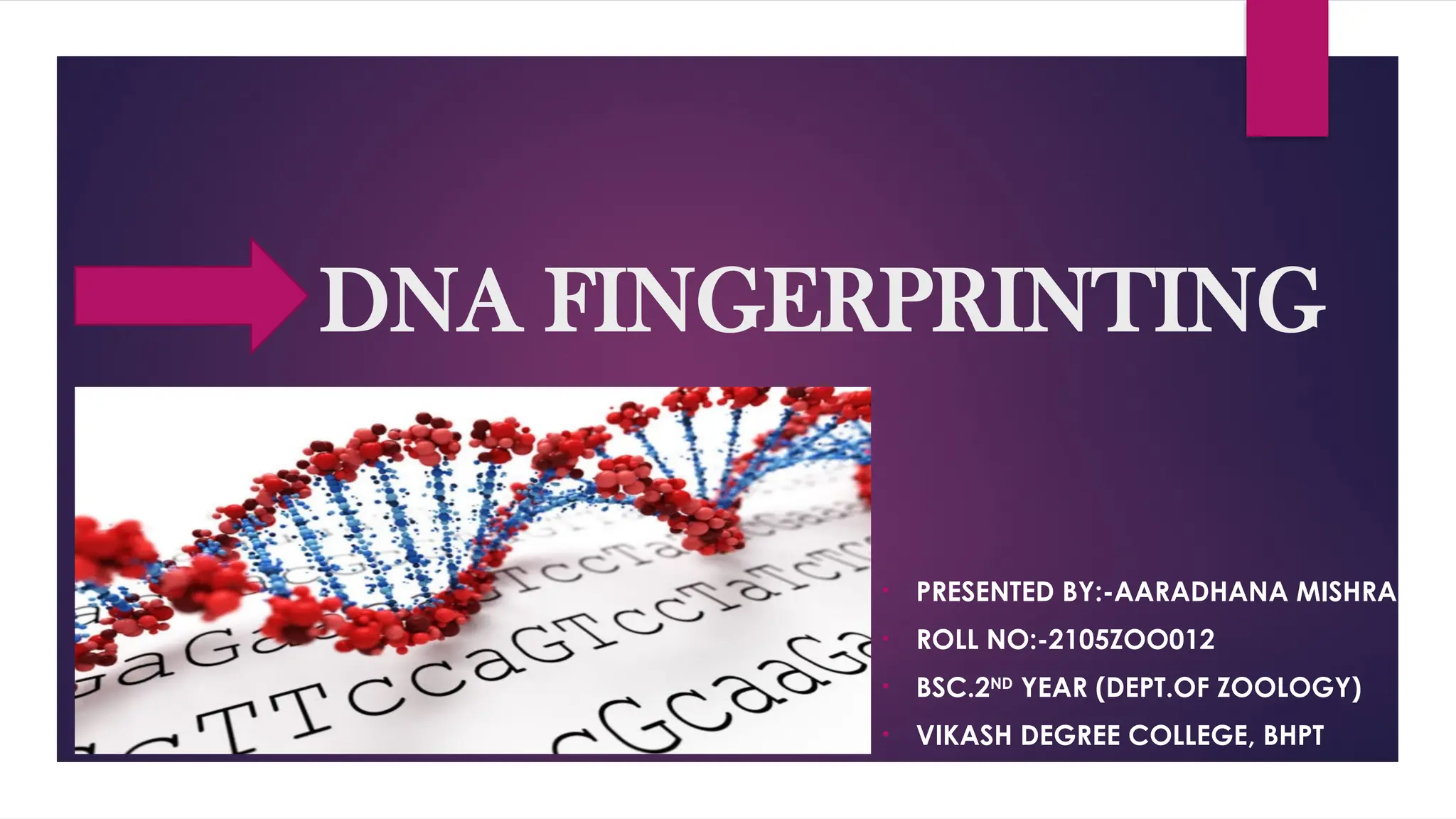 DNA FINGERPRINTING molecular biology-amit.pptx