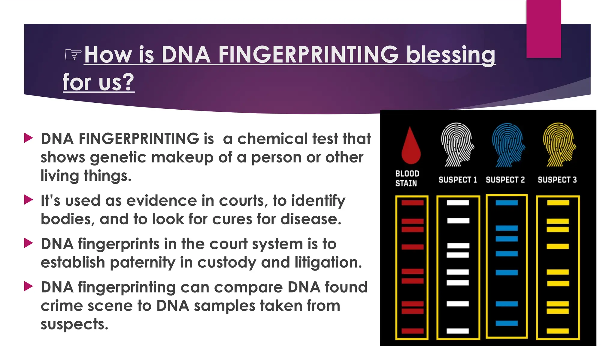 DNA FINGERPRINTING molecular biology-amit.pptx