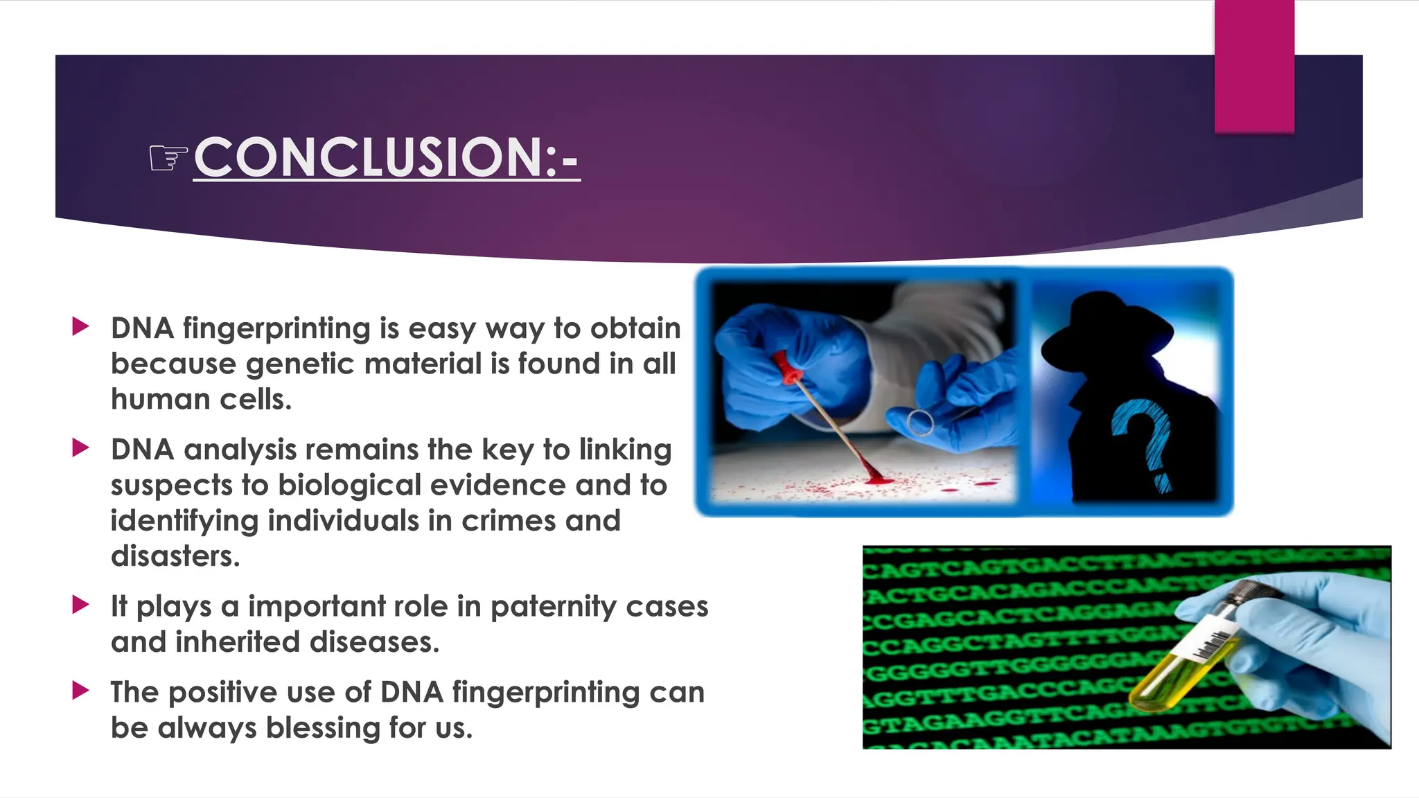 DNA FINGERPRINTING molecular biology-amit.pptx