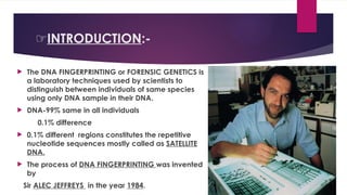 DNA FINGERPRINTING molecular biology-amit.pptx