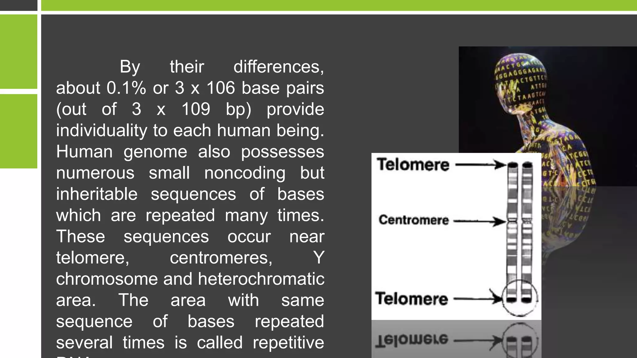 Dna fingerprinting - principles | PPTX