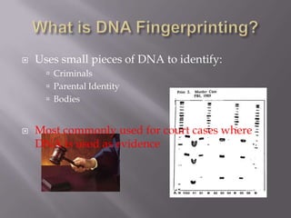 Dna fingerprinting science project pp | PPTX