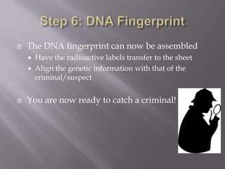 Dna fingerprinting science project pp | PPTX
