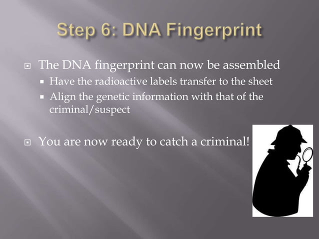 Dna fingerprinting science project pp | PPTX | Genetics | Science