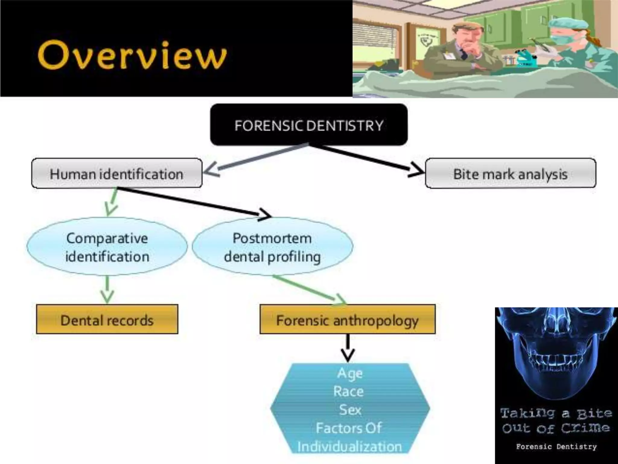 Dna fingerprinting the future of forensic dentistry | PPTX