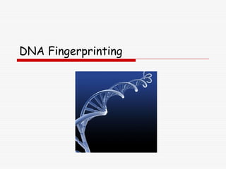 DNA fingerprinting forensic microbiology | PPT