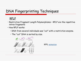 DNA fingerprinting forensic microbiology | PPT