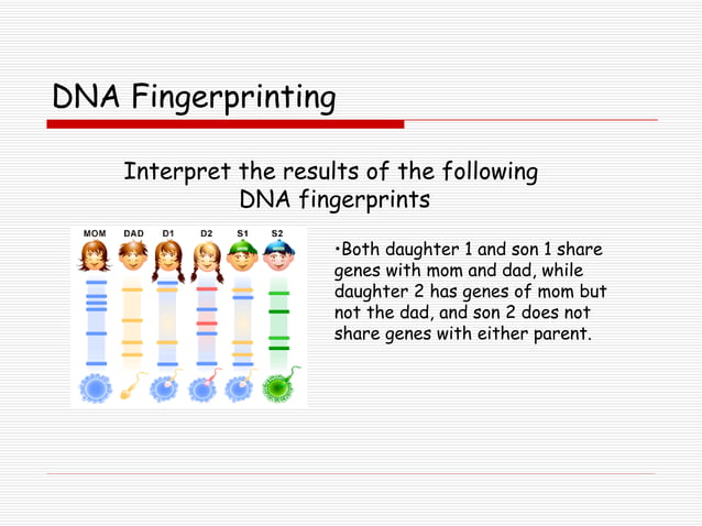 DNA fingerprinting forensic microbiology | PPT