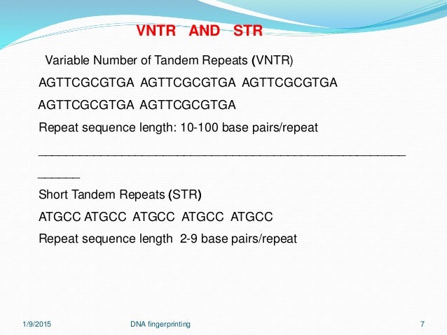 DNA fingerprinting 7 jan 2015