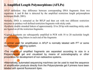 Dna fingerprinting by laxmee dahal | PPT