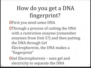 Dna fingerprinting | PPTX | Genetics | Science