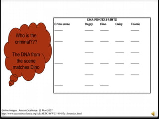 Dna fingerprinting | PPTX